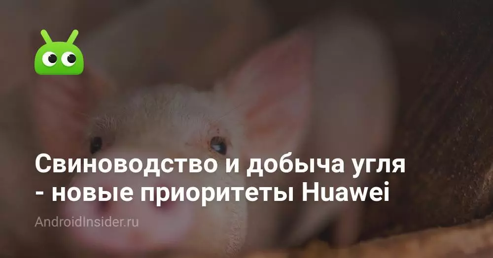 Porci și miniere de cărbune - Priorități noi Huawei