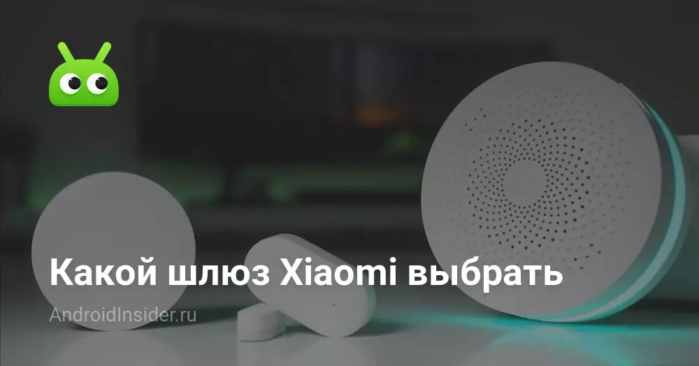 Які шлюз Xiaomi выбраць