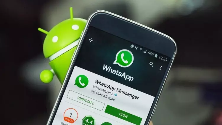 Updated WhatsApp learned to transmit files of any formats 10674_1