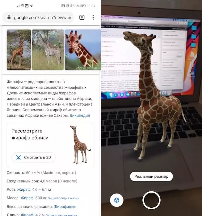 50 new animals appeared in Google in Augmented Reality 1322_2