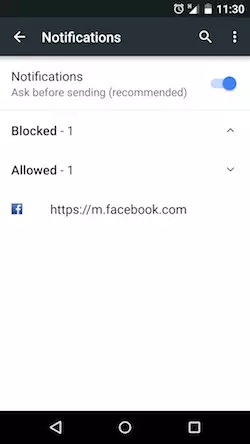 Facebook implemented support for notifications in Chrome 15599_5