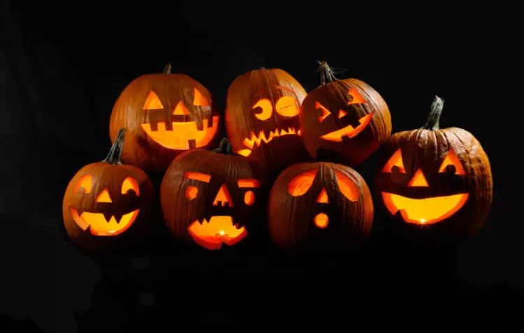 Halloween дээр Google-д 3D амьтдыг хэрхэн үзэх вэ