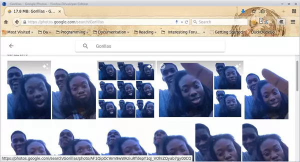 Google-fotoj ricevis du afrik-usonanojn por la goriloj