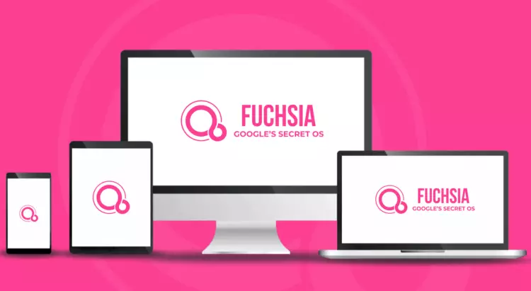 Fuchsia ఆపరేటింగ్ సిస్టం: ఎందుకు అవసరం, Android నుండి వివిధ మరియు అది అదృశ్యమైన 1969_2