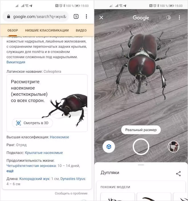 Kako gledati kukce, leptire i druge kukce u 3D na Googleu 2033_3