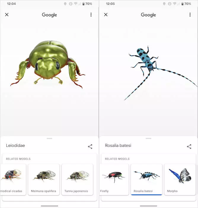 Come guardare coleotteri, farfalle e altri insetti in 3D in Google 2033_4