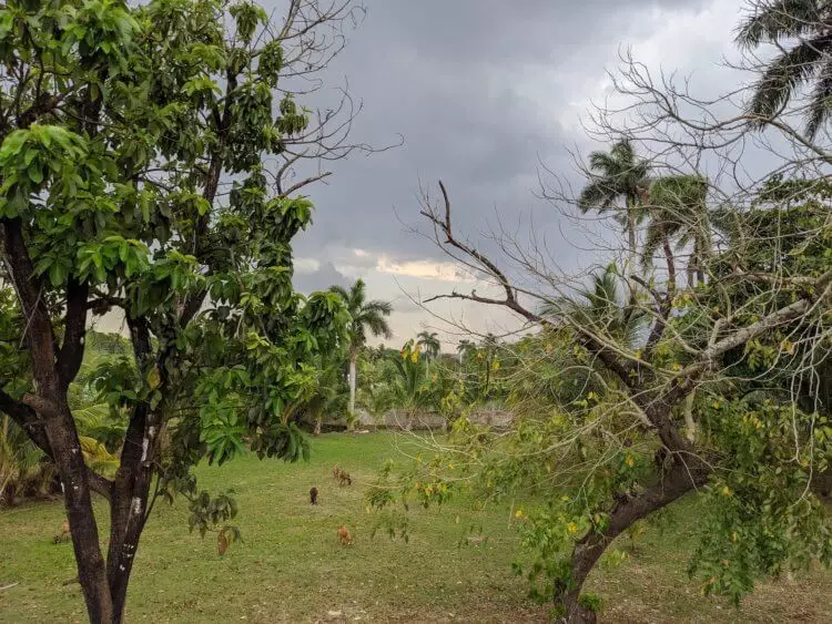 Kumaha carana ngahapus kaméra murah Google Pixel 4a 2528_4