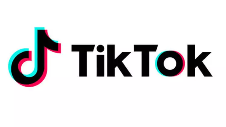 Ако одлучите да снимате Titstok - најдобрите видео уредници 252_1