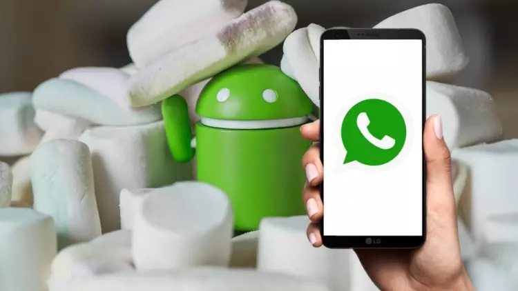 Популарната функција на Instagram ќе се појави во WhatsApp 4195_1