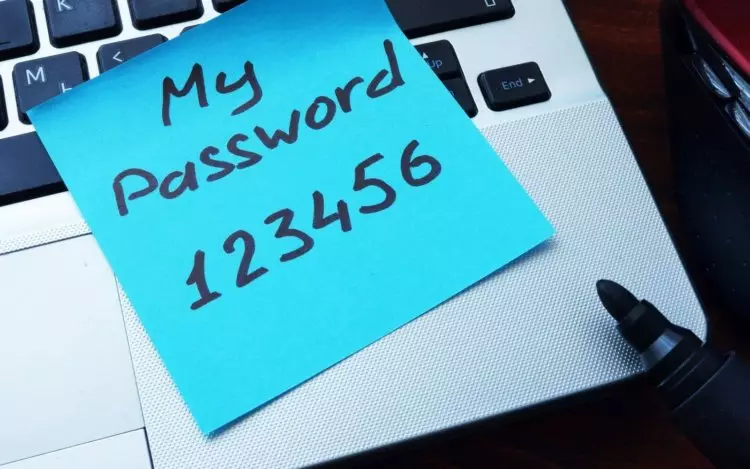 Gli hacker hanno imparato a rubare le password definendole per ascoltare 7231_1