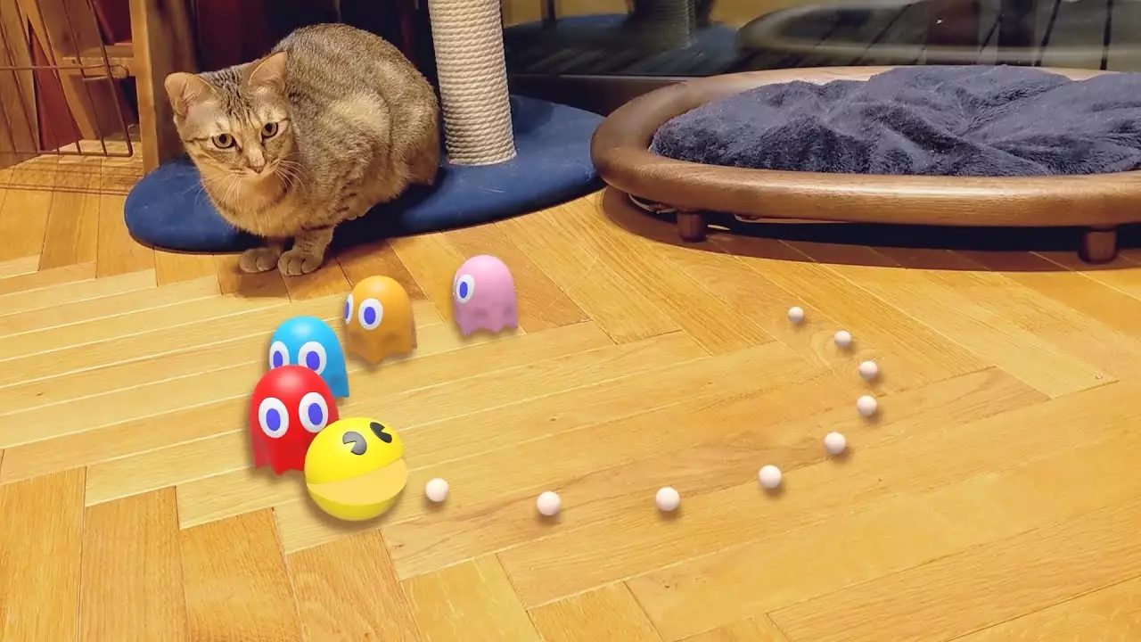 Pac-Man, Hello Kitty e altri: Google ha aggiunto nuovi modelli 3D ad AR in Chrome 737_2