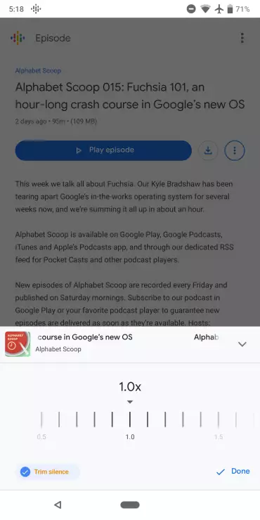 Google o loʻo sauni le Podcasts faʻafouga. Lisi o fou 7682_4