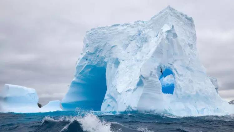 ZTE Iceberg - Northes mbili za skrini ni bora kuliko moja? 8425_1