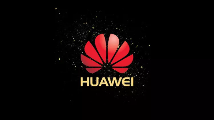 Wat gesäit Huawei y7 aus wéi (2018)? 8643_1