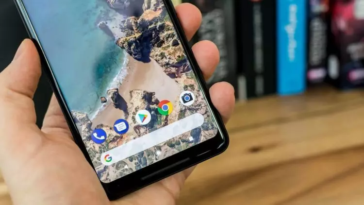 Pixel 2 მფლობელები ჩივიან Google გამოკითხვების შესახებ პარამეტრების მენიუში 9223_1